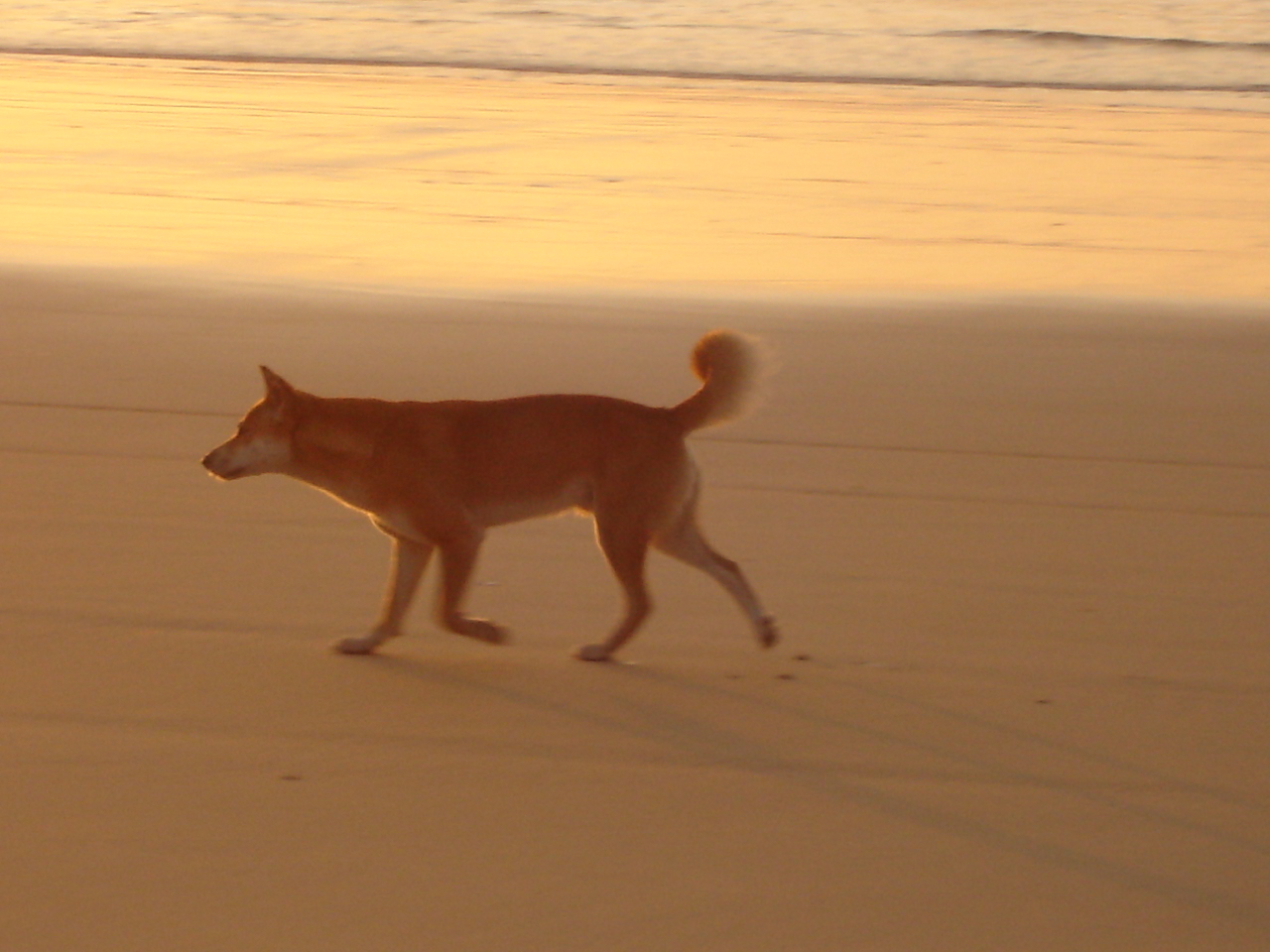 Studying in Australia as a teenager? - A Born Traveller