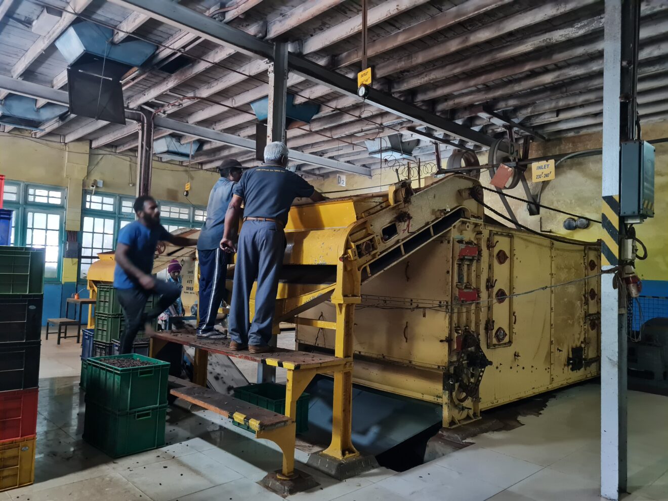 Blue Field Tea Factory in Ramboda, Sri Lanka – my experience - A Born ...