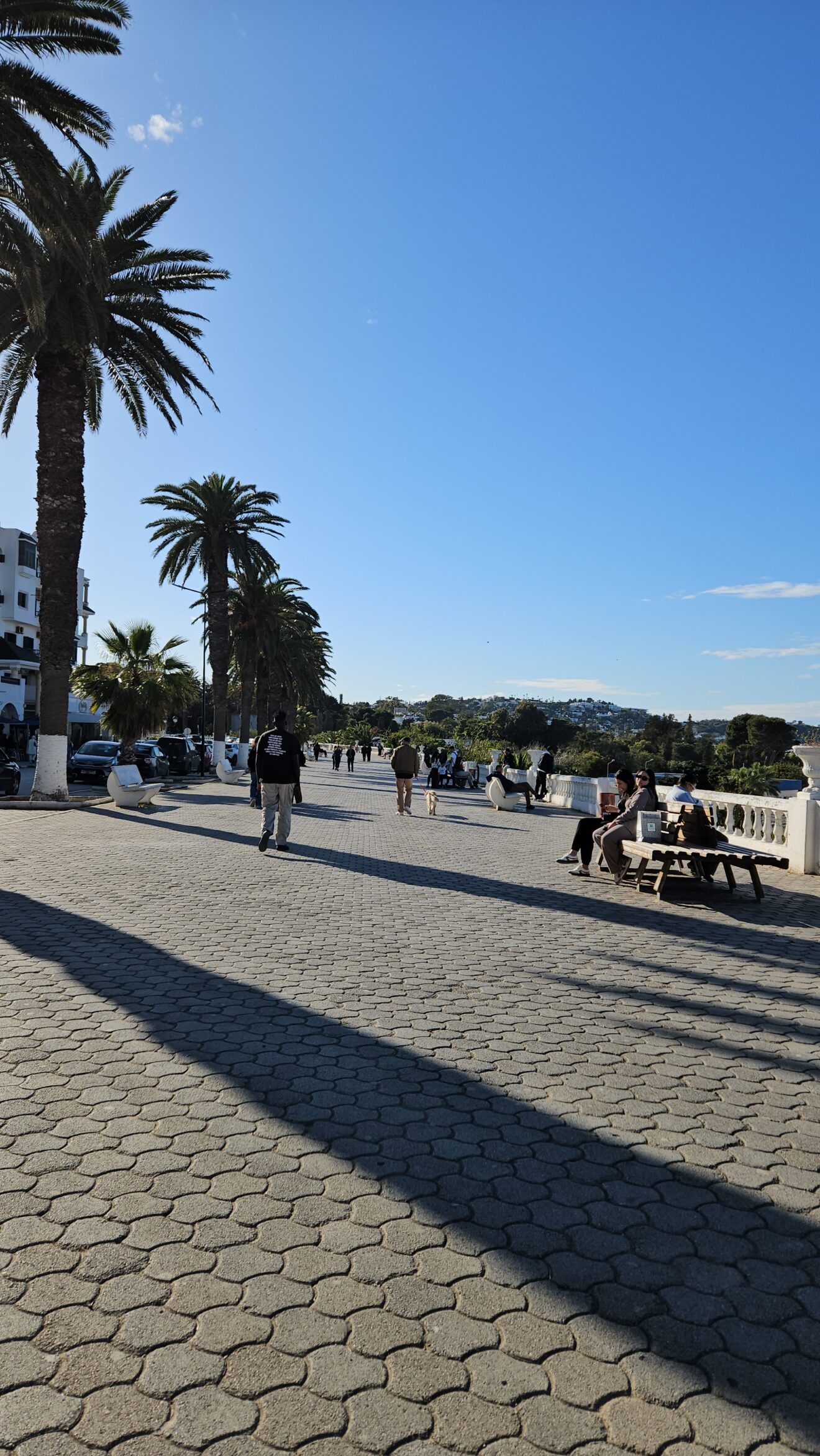 What to do in Tunis: My 2-day travel guide to Tunisia’s capital (9 ...